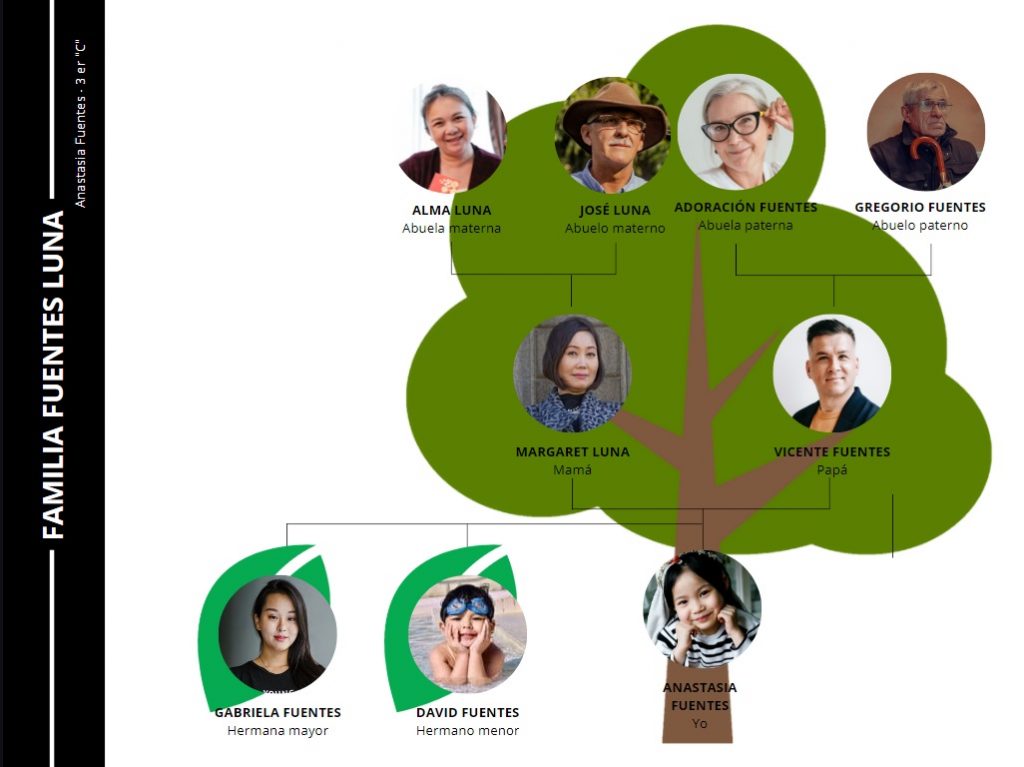 Árbol Genealógico Ejemplos, Plantillas Word, Excel, Canva