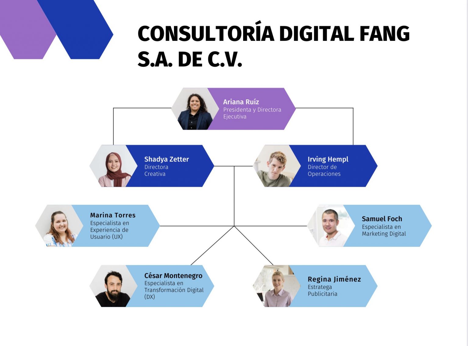 Organigrama de una Empresa de Servicios » Ejemplos, Formatos【2026