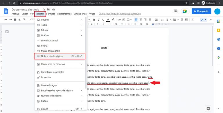 Nota al pie Ejemplos y Consejos