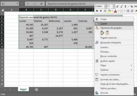 Convertir Excel a Word Ejemplos y Consejos