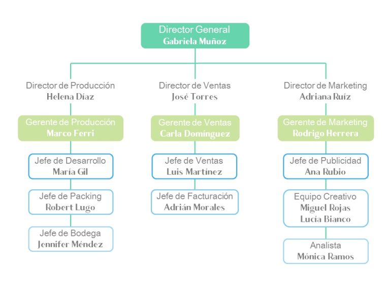 Organigrama Jerárquico Ejemplos, Formatos Word, Excel